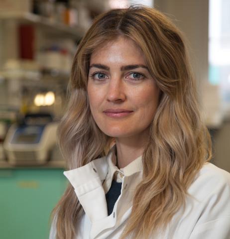 Participating Faculty | Bioinformatics and Systems Biology